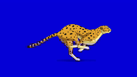Cheetah Running Animation Cheetah Run Stock Illustrations – 1,280