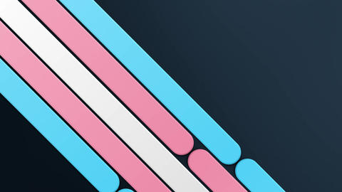 Transgender Flag Wallpaper Transgender Pride Decorative Pride Flag