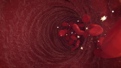 Platelets flow in blood vessels, realist 애니메이션 GIF 28162110 ...