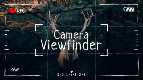 Premiere Pro effect preset