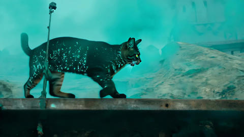 Bioluminescent Cats