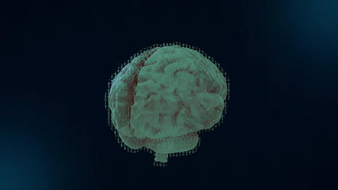 Rotating Brain Gif