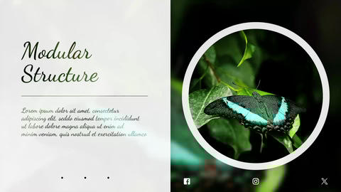 Premiere Pro template